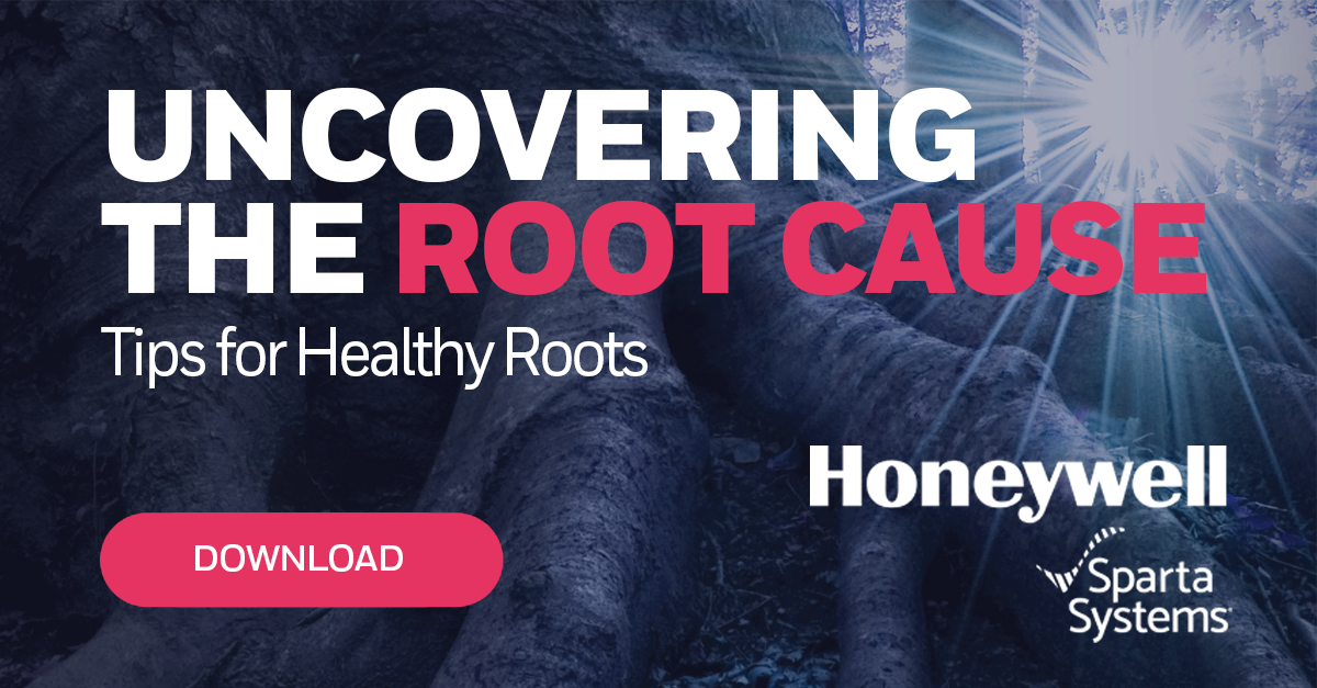 Uncovering the Root Cause - Tips for Healthy Roots